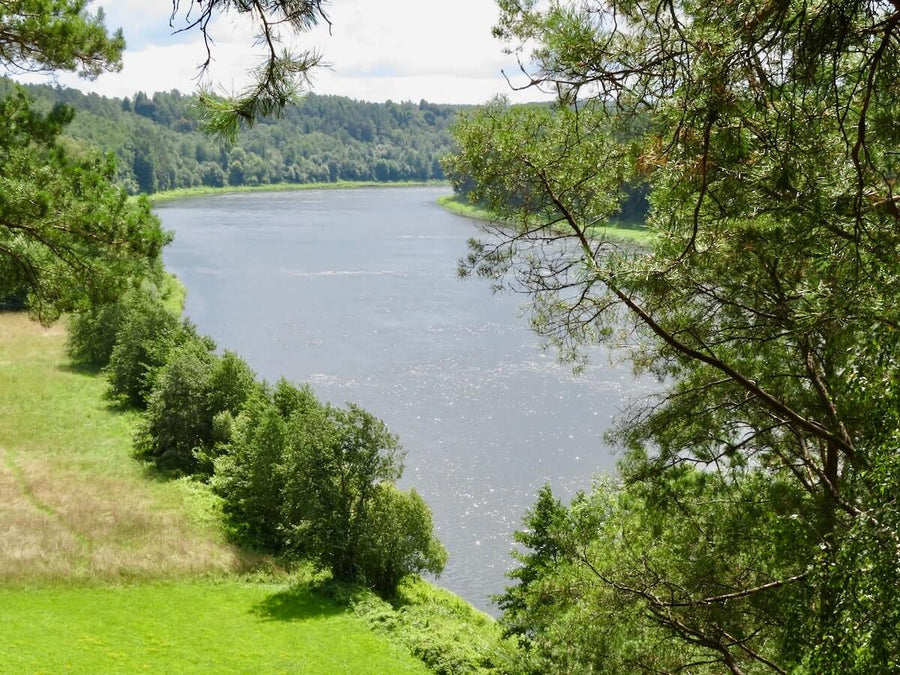 Lietuviskas Midus 企業紹介 | 蜂蜜酒ブルワリー – Šventė - Importer of Lithuania